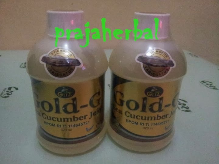 Jelly Gamat Gold-G Sea Cucumber - Praja Herbal | Agen dan Distributor ...