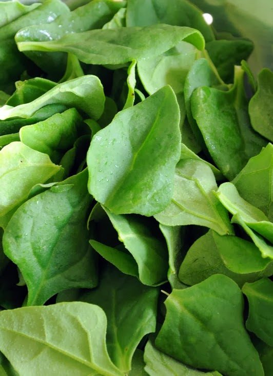 Cantinho Vegetariano: Espinafre