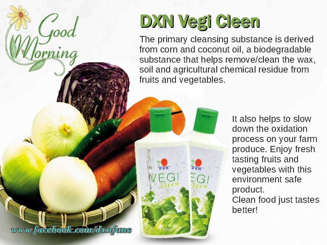 Welcome to the DXN Fans Blog