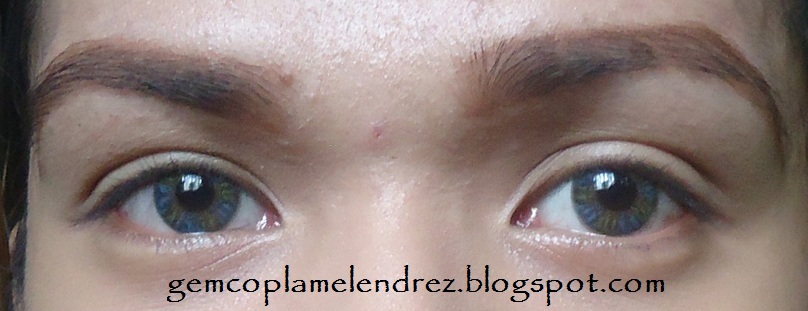 BekiBeautyBlog | Gem Stoelzaed: My Basic Brow Routine! PLUS Review on ...