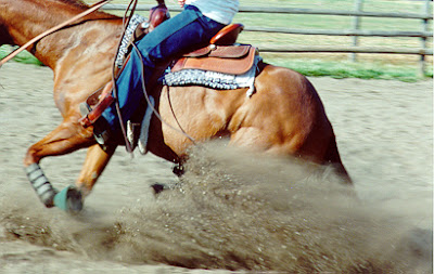 Reining Training Tips ~ ~: Stop Fix #15: Longer Sliding Stops