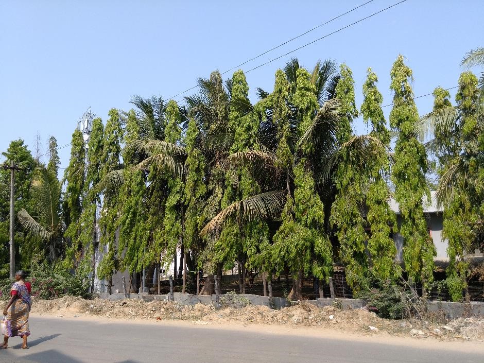 50 Beautiful Pictures of Chennai | Tamil Photos Beautiful | Georgious ...