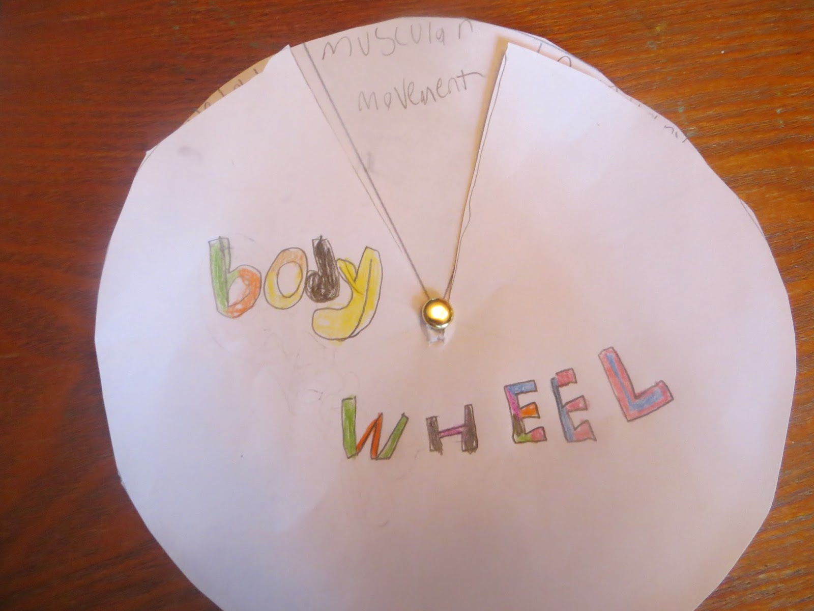 My Full Heart: God's Design for Science: The Human Body {week 1}