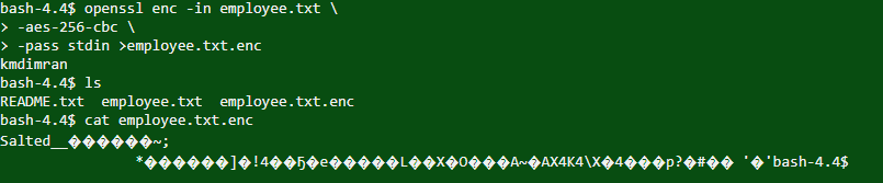 Encryption & Decryption in GCP