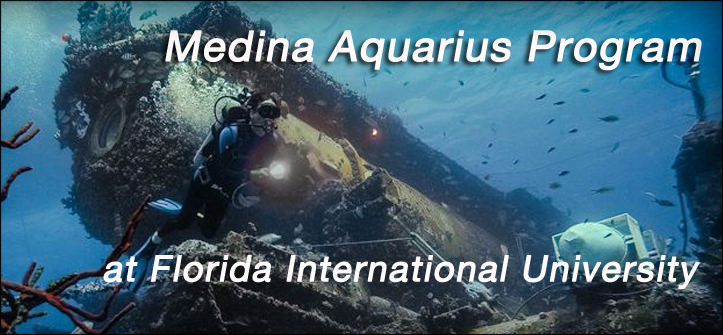 Suburban spaceman: NASA NEEMO 18 Expedition: Astronauts complete ...