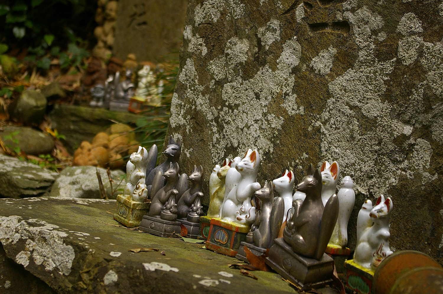 Cat Island | Earth Blog