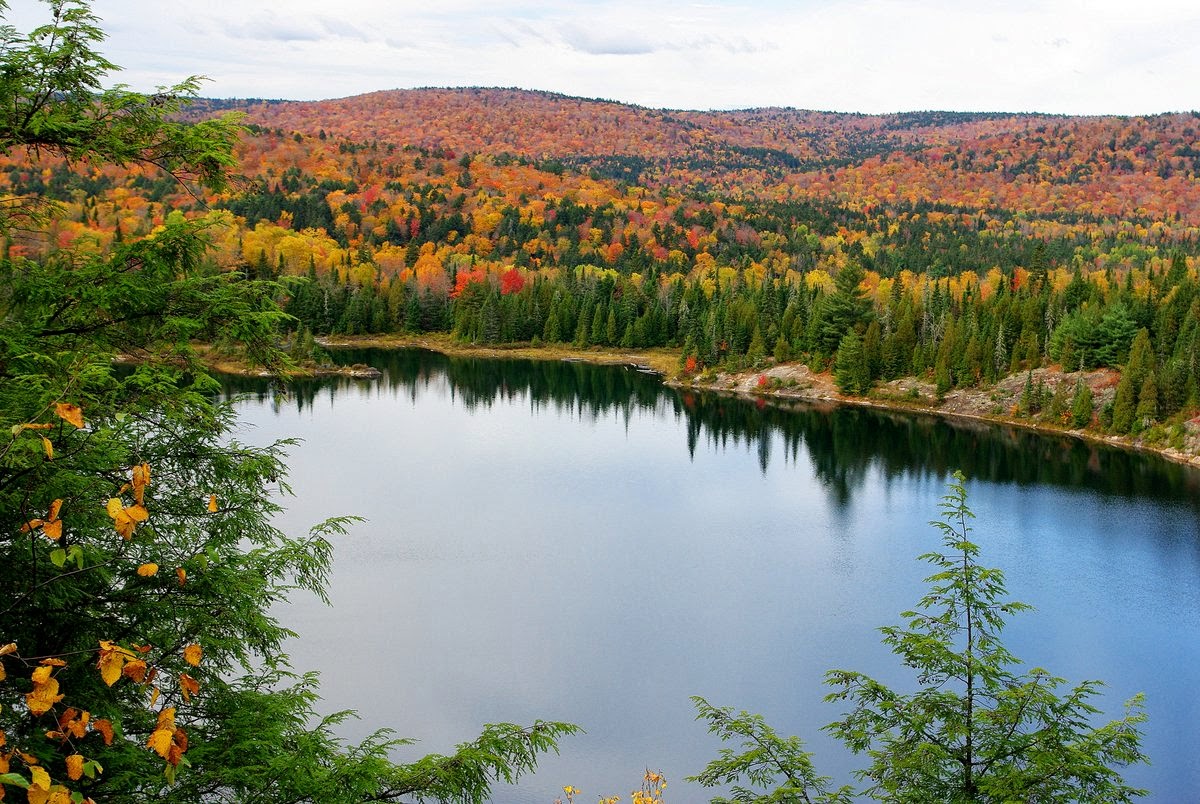 Automnes du Québec: Parc National de la Mauricie