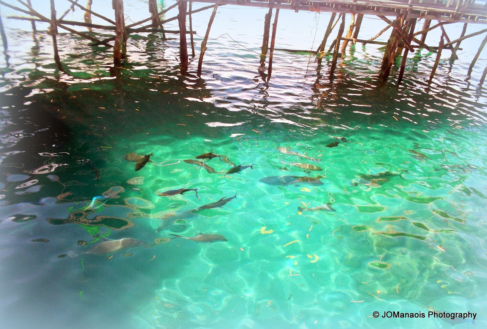 Jingkoy's Travel Escapade...: The Enchanted River