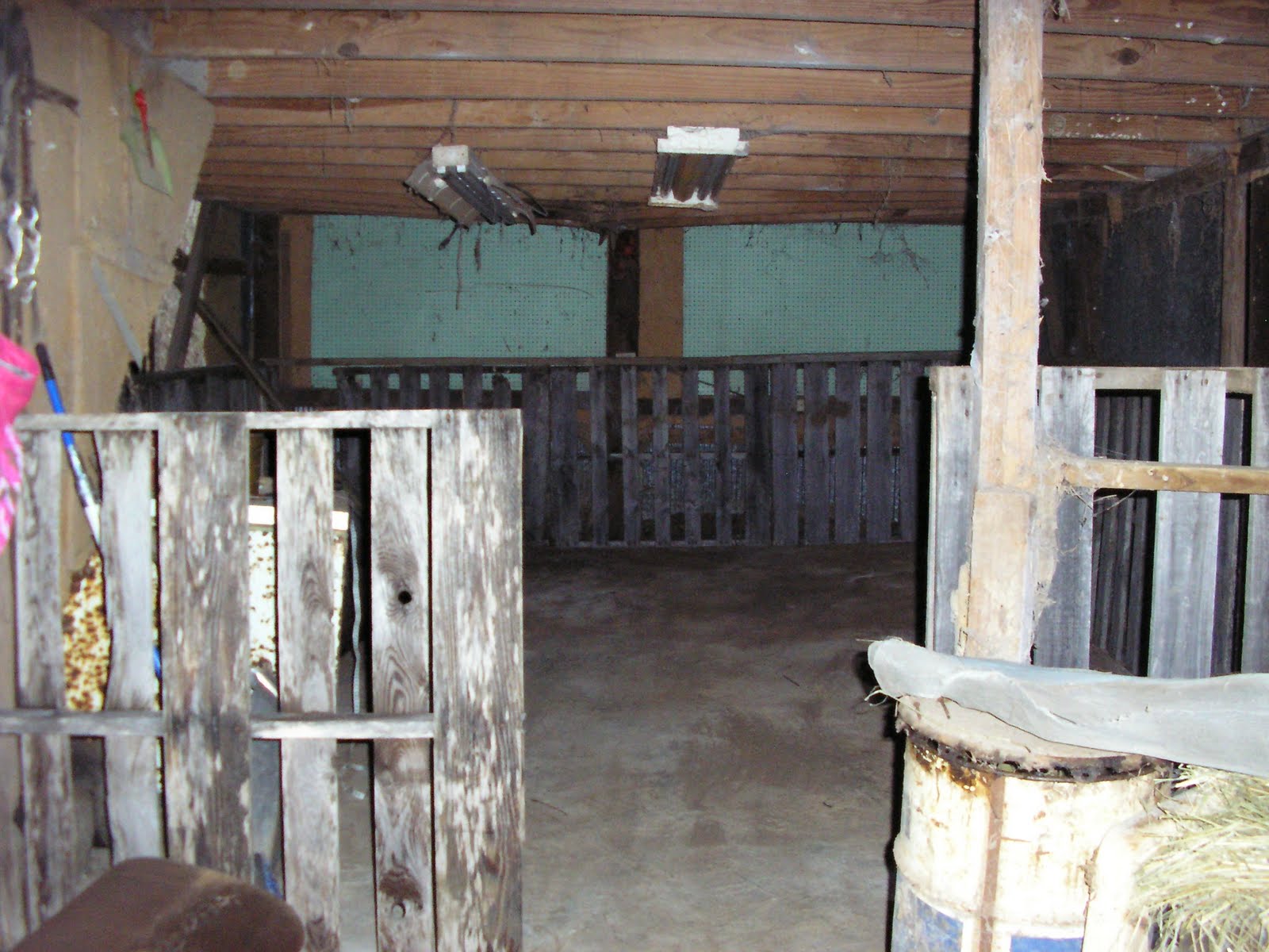 Homesteading and Homekeeping at Whisper Wind Farm: Rabbit Colony 3