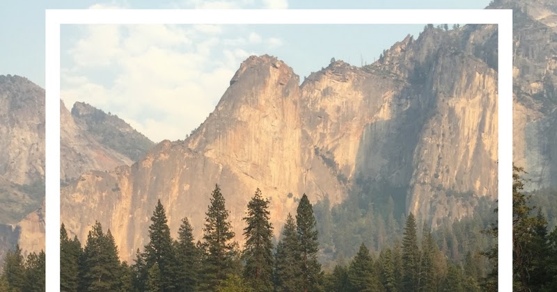 10 Best Nature Documentaries on Netflix | To & Fro