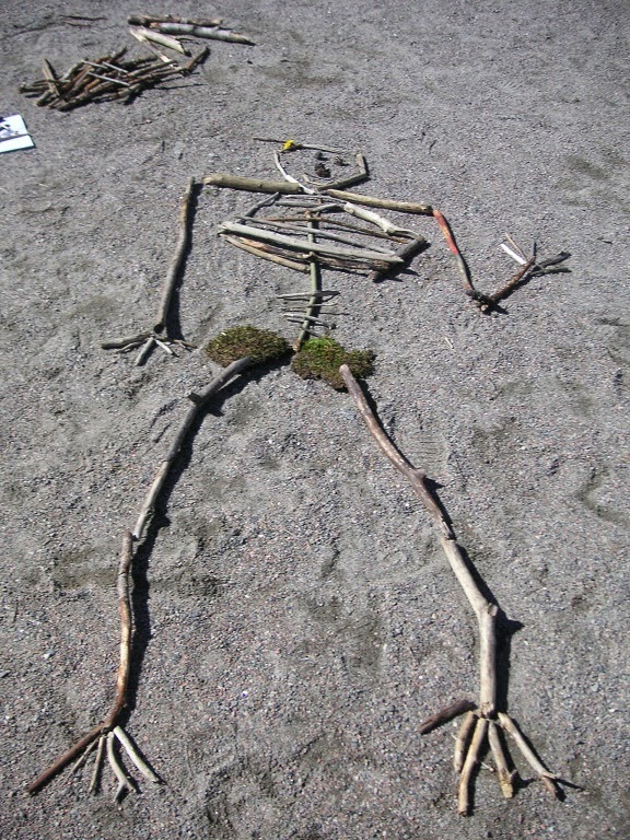 Dammlötskolan klass 3: Skelett