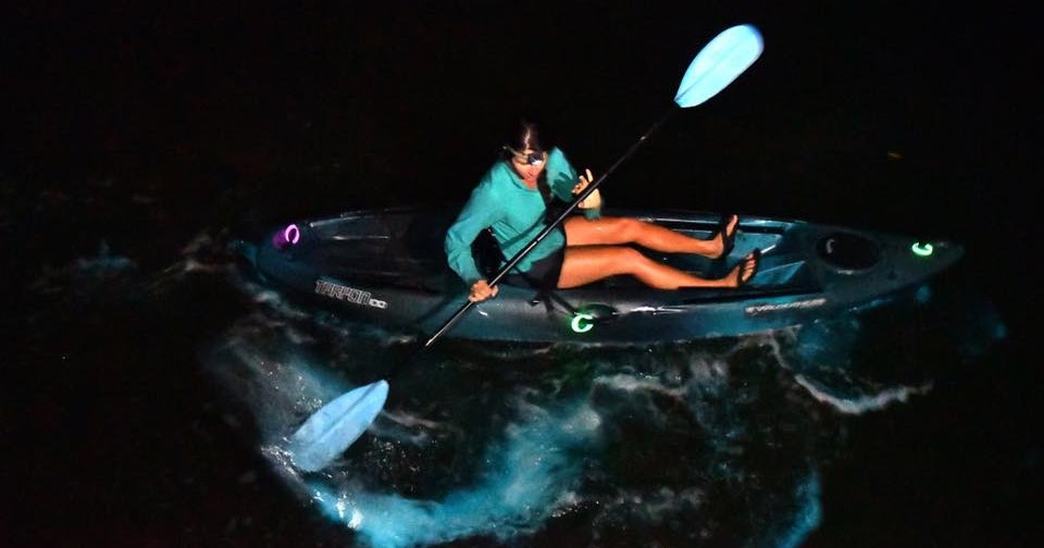 BIOLUMINESCENCE IS HERE! BOOK YOUR KAYAK TOUR TODAY!