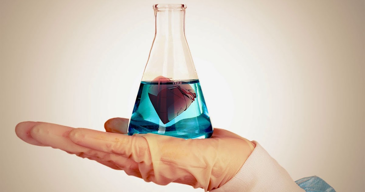 The Science Behind Love [video]