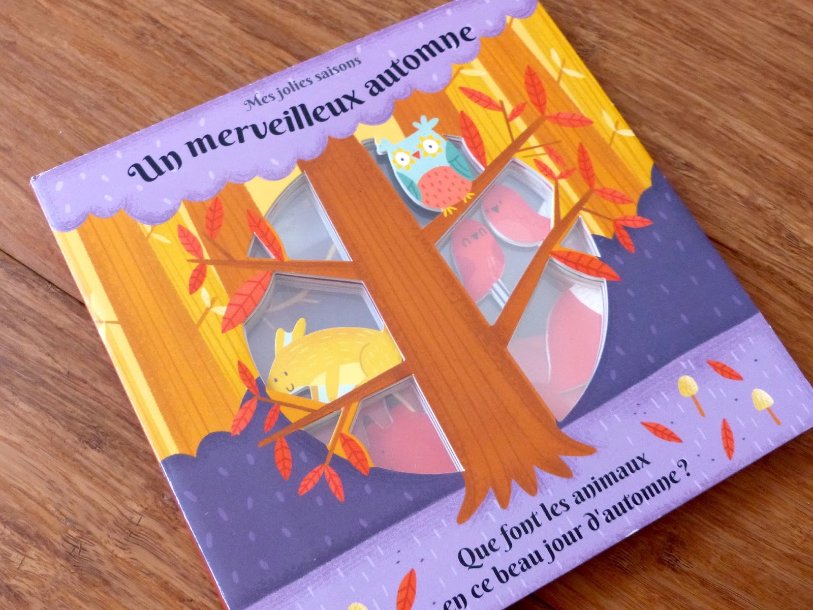 novembre 2017 - Petits bouts de vies