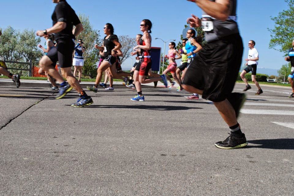 Bounce Bark Run: A Tale of Two Races