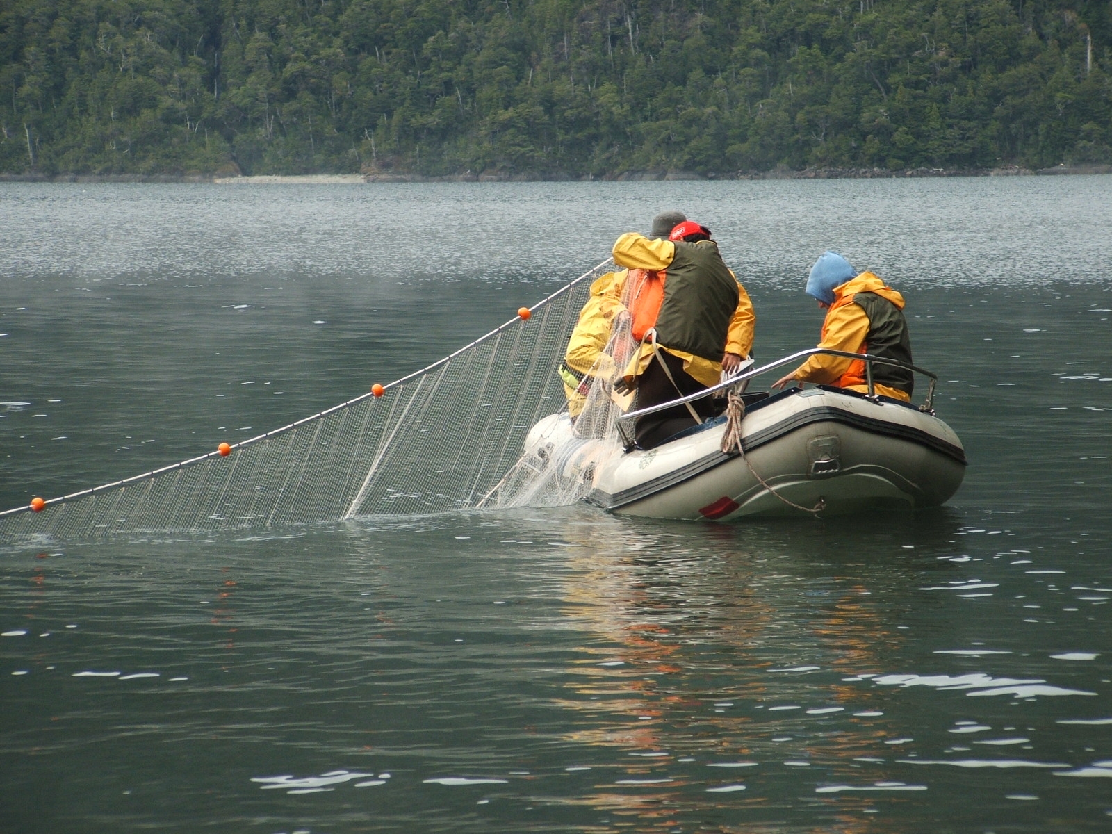 Acuicultura y pesca continental en Argentina: Y cómo encarar el manejo ...