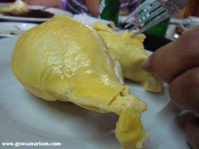 Durian Garden, Polomolok || GENSANarium