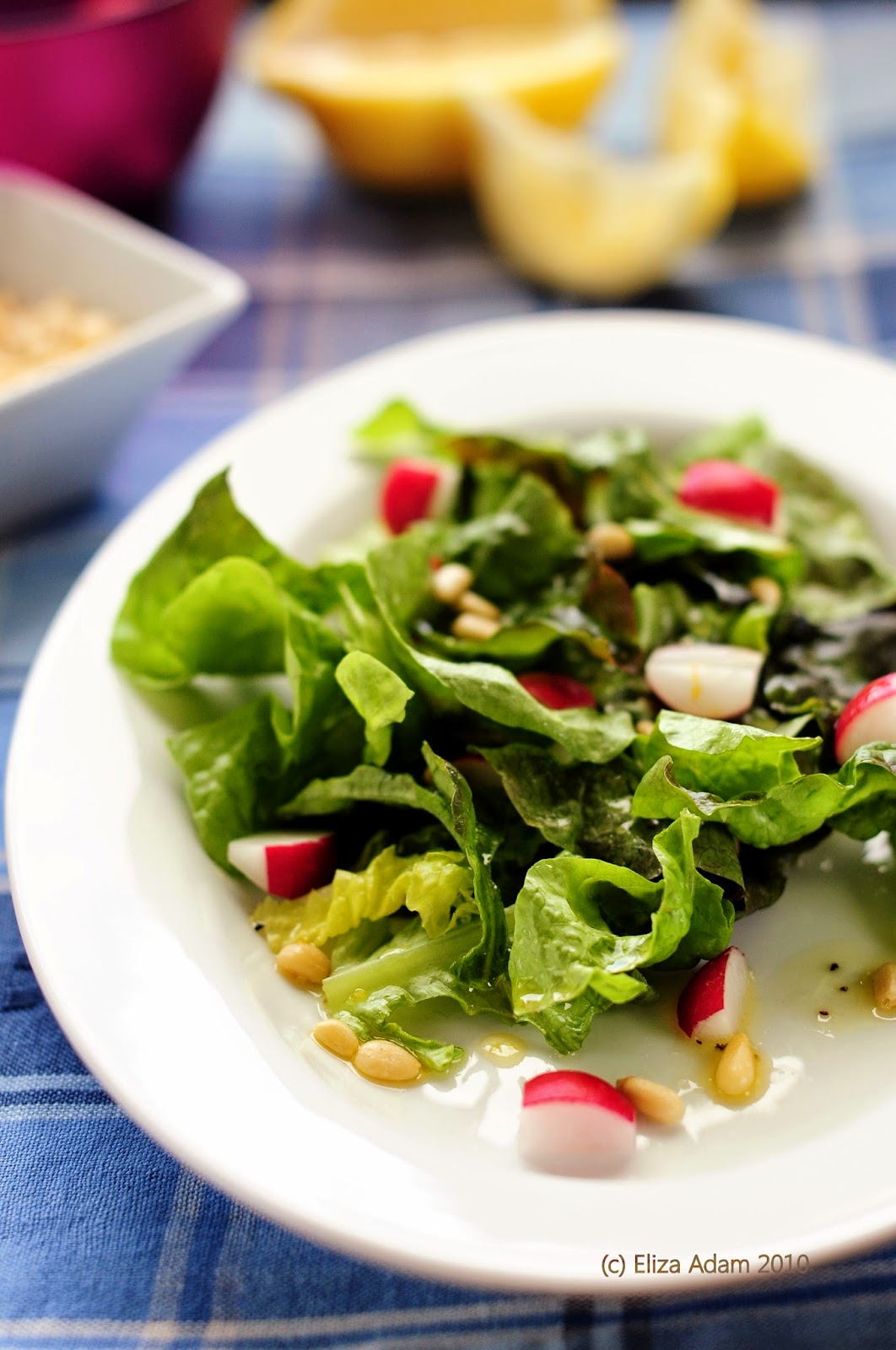 Notes from My Food Diary: Red Leaf Lettuce with Citrus Dressing and ...