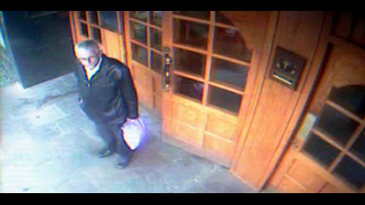 LITOTES: The Last Days of Peter Bergmann. Really?