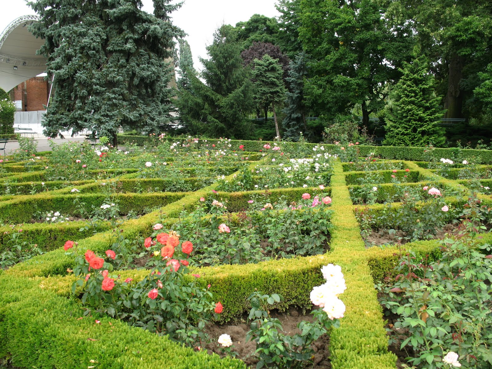 Jurnal de gradina: Parcul Rozelor - Timisoara