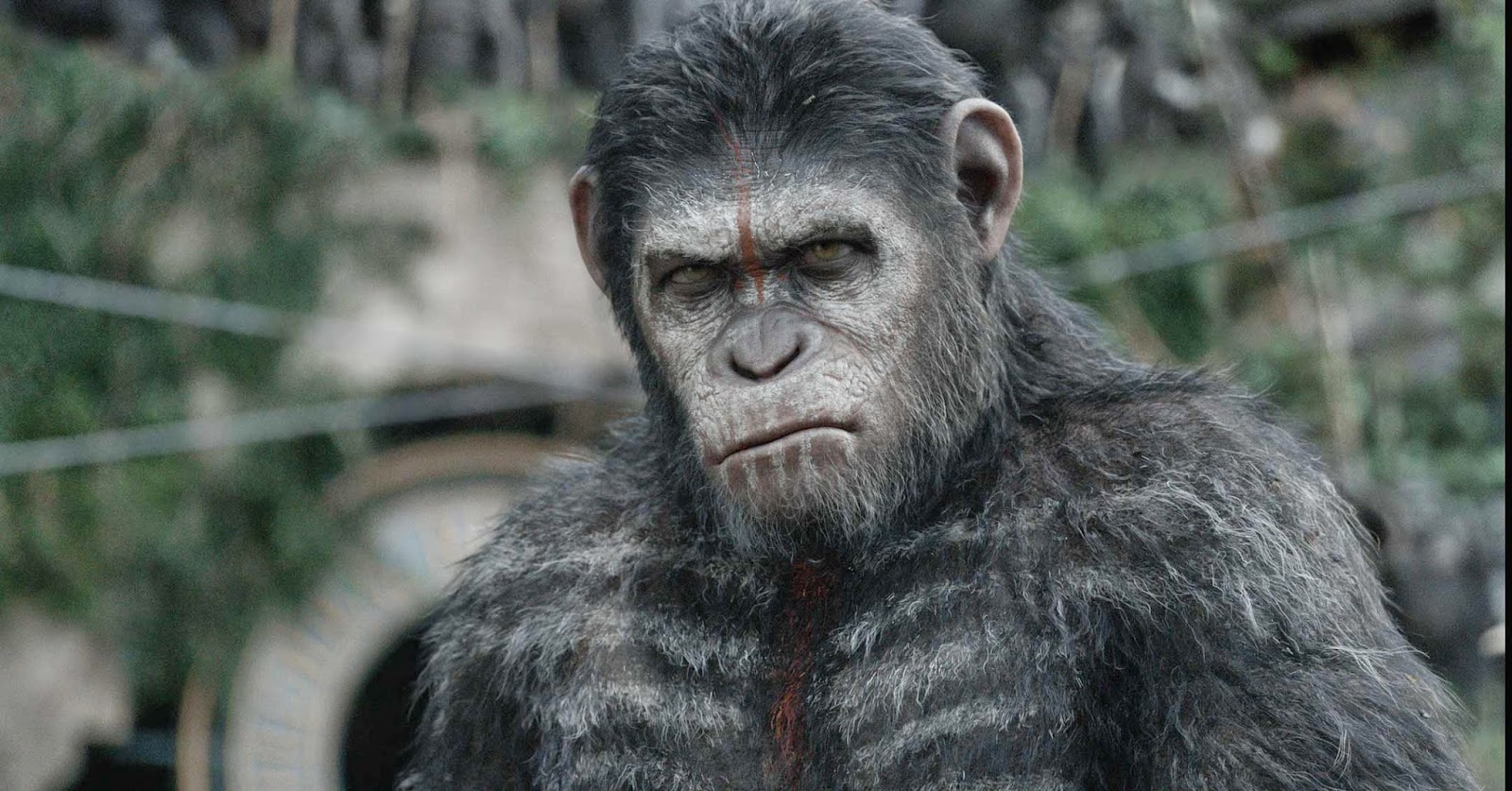 Hear Ye! Prime Ape Caesar in “DAWN OF THE PLANET OF THE APES”