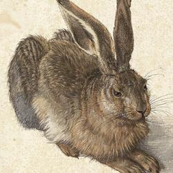 El ojo de la liebre: Reencuentro en el mundo blog