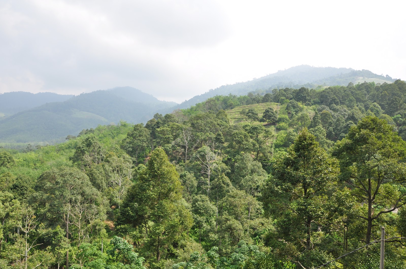Sungai Siput Boy: Pekan Broga: Gigantic Monkey God at Sak dato Temple ...