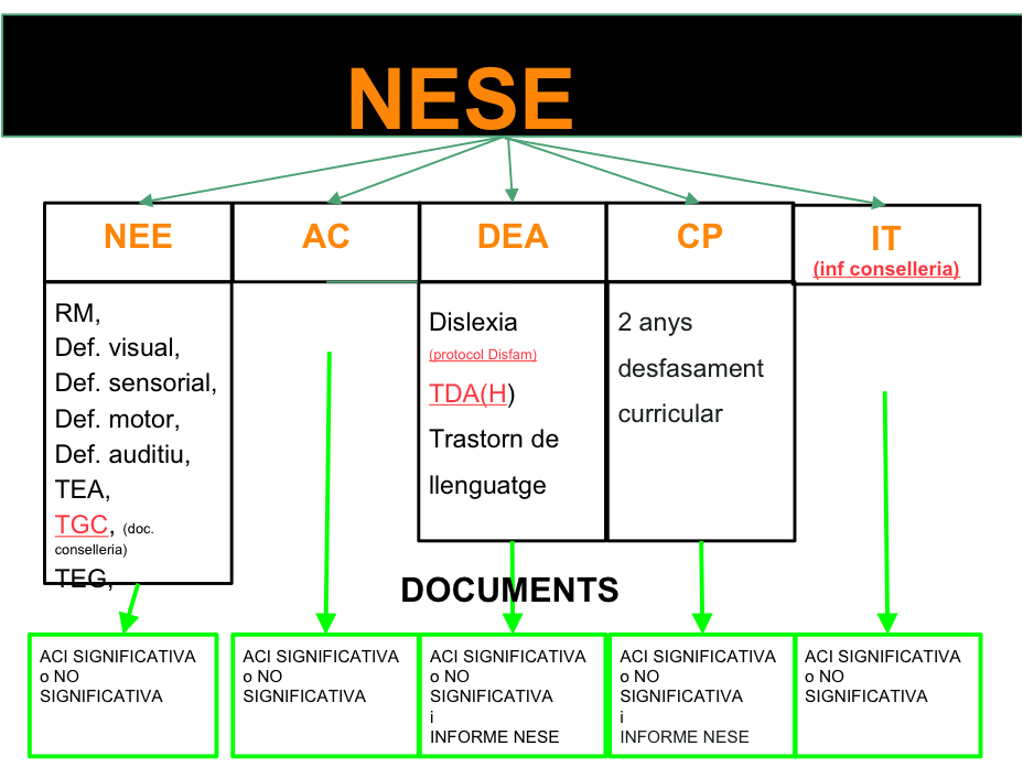 Atención al alumnado con necesidad específica de apoyo educativo NESE ...
