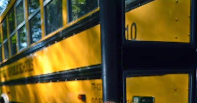 Dollops of Diane: I Missed The Bus