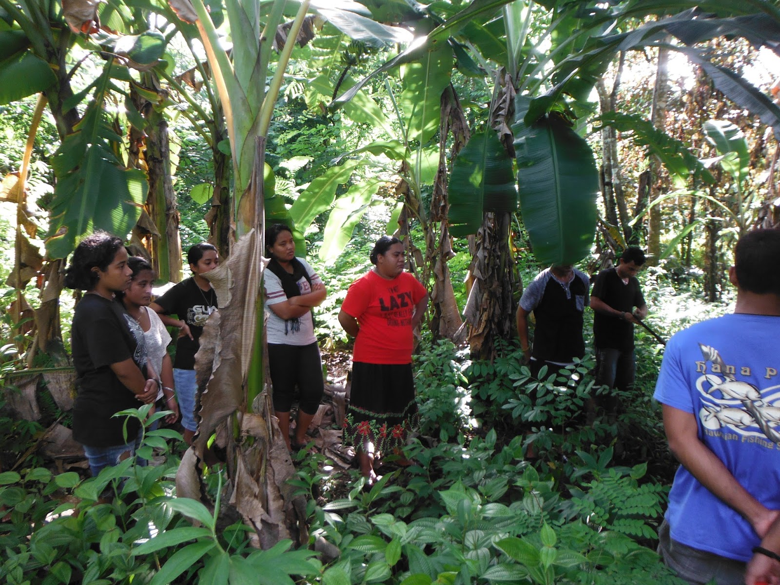 Bananas and primitive plants hike