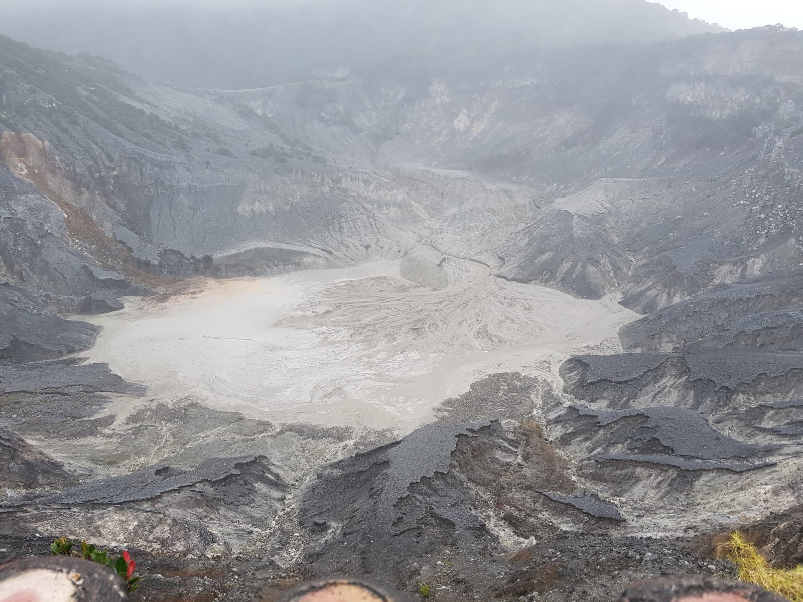 MYLIFEMYPRIMARYPLAN: 2017