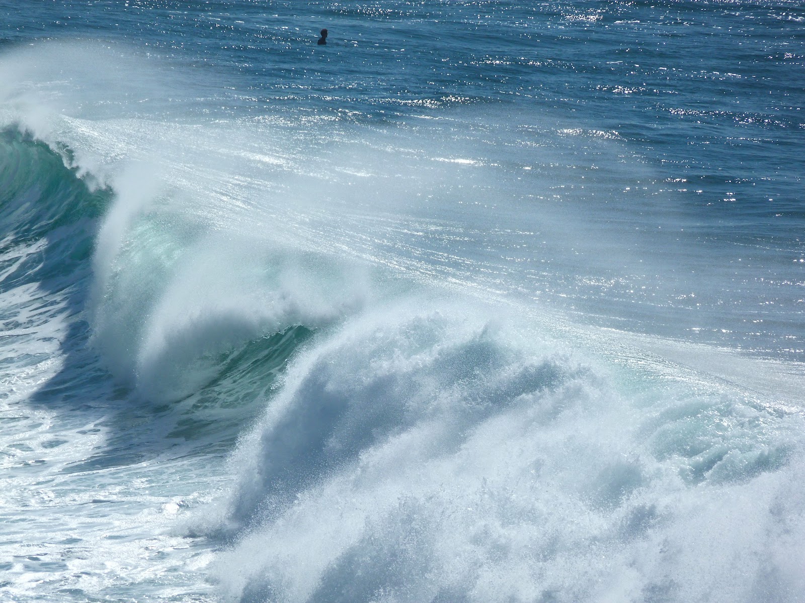 beachcomber: big swell