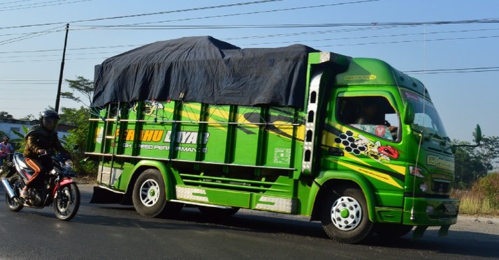 Kombinasi Warna Hijau Mobil Truk – Laura Blogs