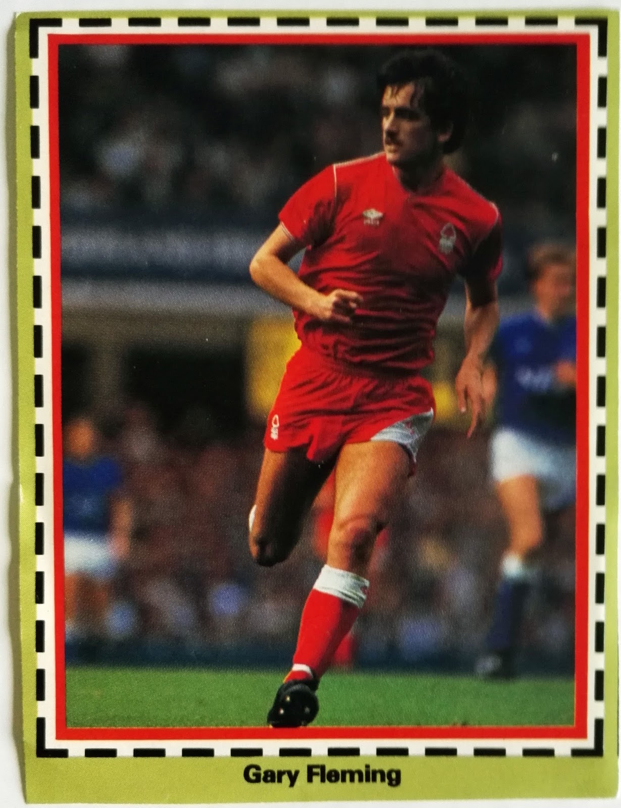 NFFC Cards & Stickers: Match Facts Football Yearbook 87/88 (Star ...