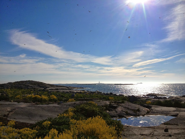 Metsähallitus merellä: Läntinen Suomenlahti