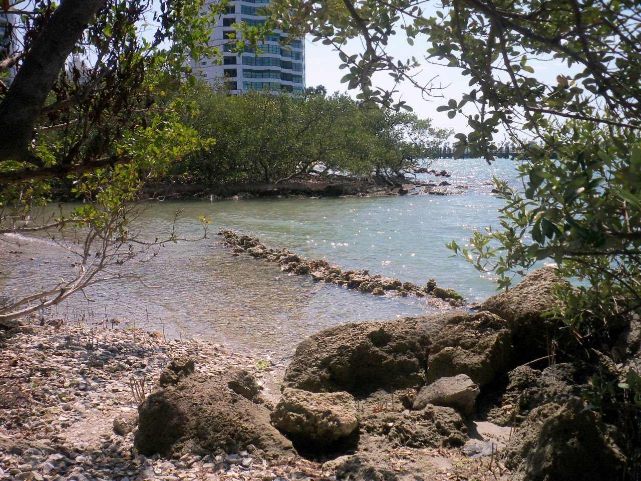 Southwest Florida Shoreline Studies: Van Wezel Shoreline on Sarasota Bay