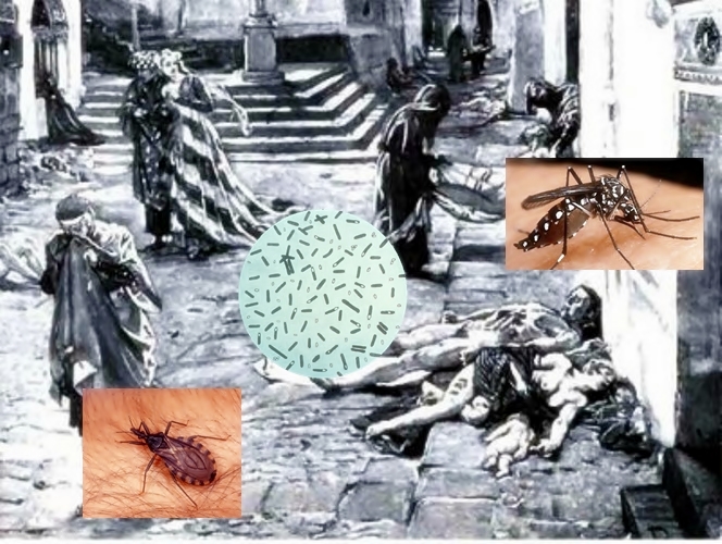 Principais Endemias e Epidemias