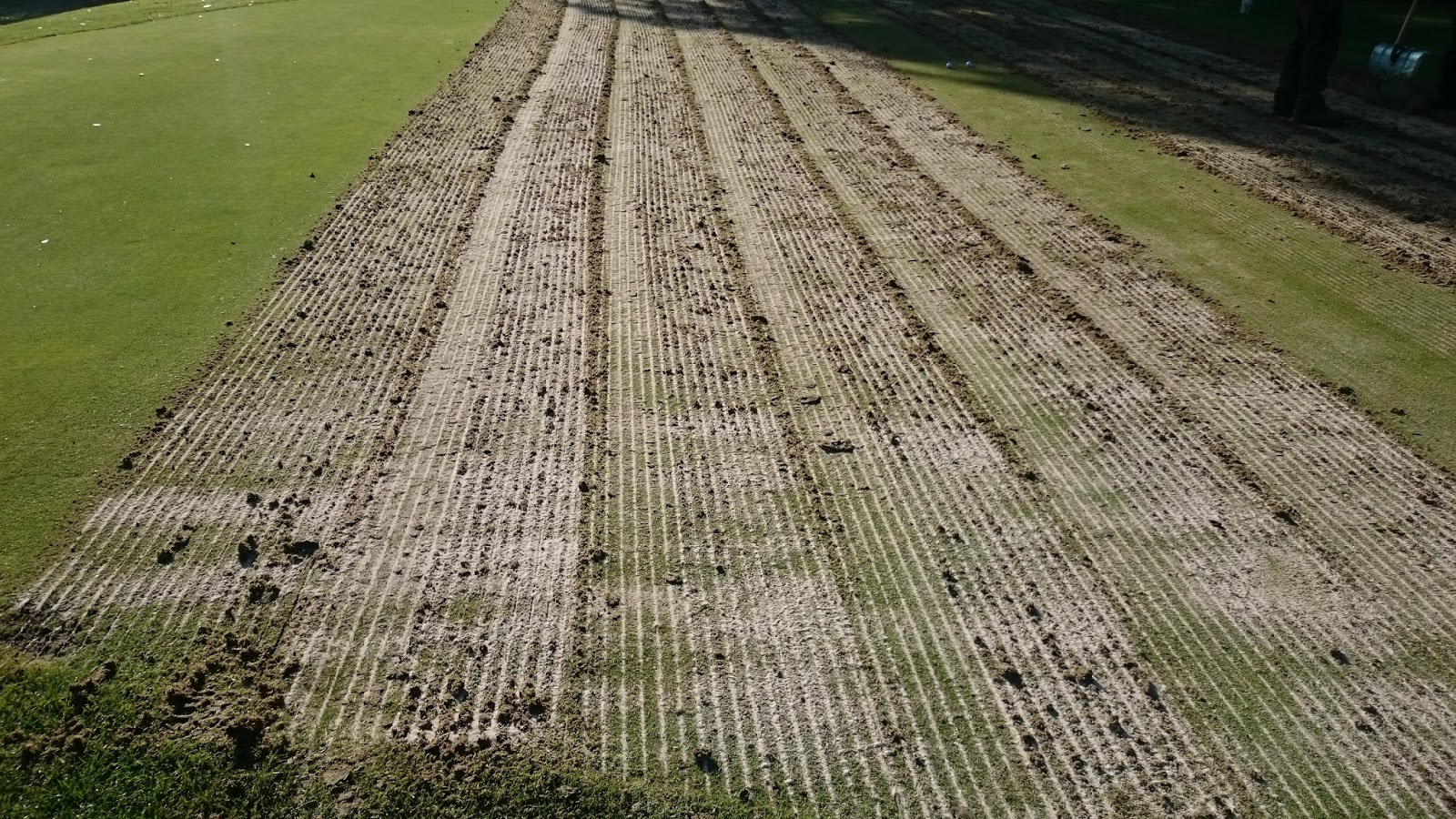 Murrayfield Golf Club - Course Management Blog : Sand Injection