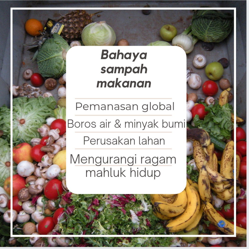 Bahaya Sampah Makanan Dan Tips Mengolah Sampah Makanan di Rumah