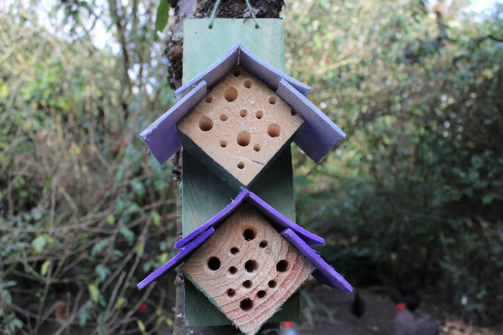Home-made Repurposed Wood, Luxury Insect Hotel or Five Star Bug House ...