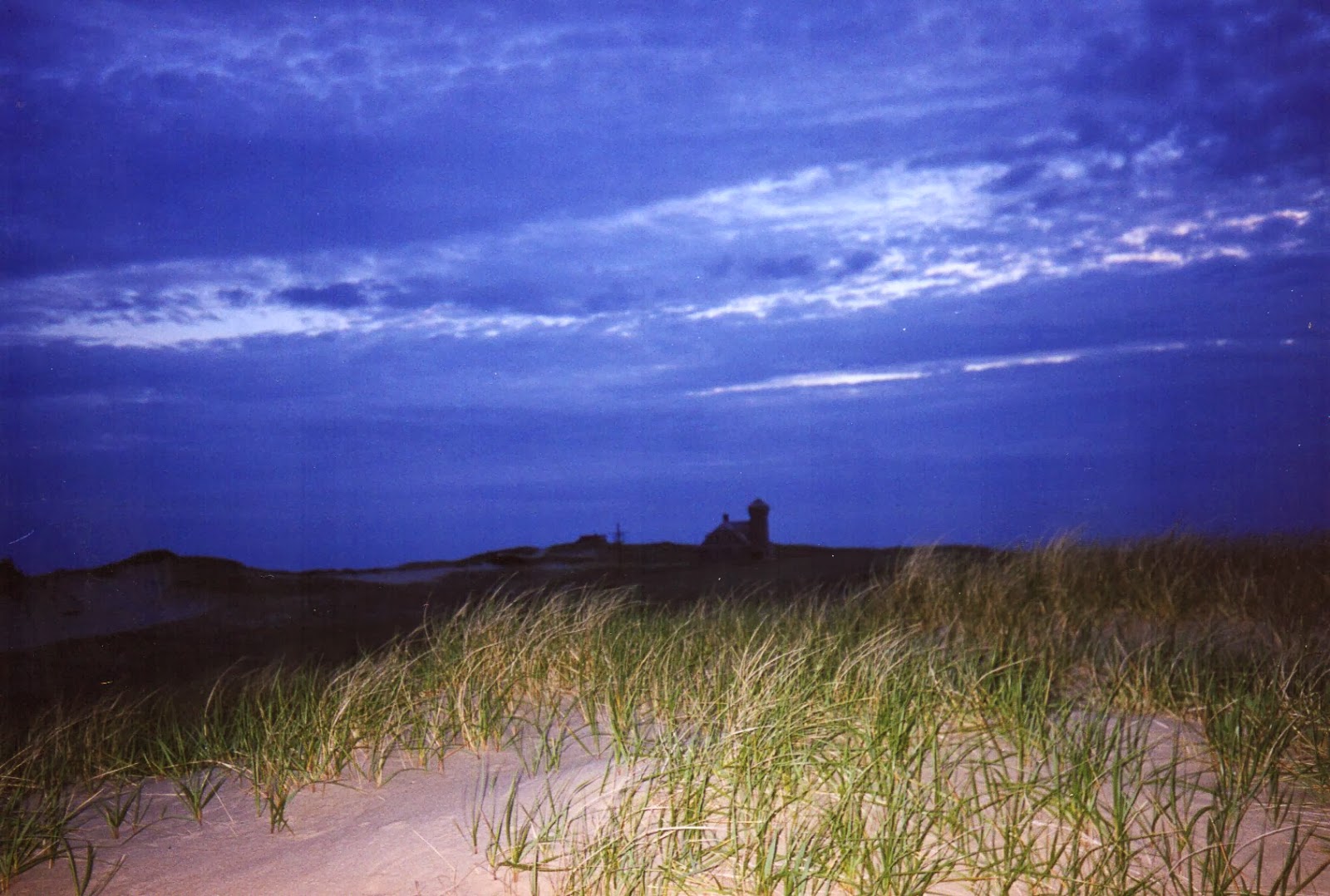 Dave's Travel Adventures: Cape Cod – May 1999 (Part Two; Whale Watching ...