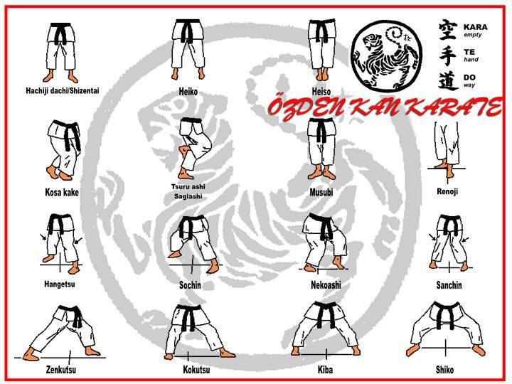 JKA NIKKEY ASSOCIACAO ARAPONGUENSE: Posições - Dachi e Golpes (Tecnicas ...