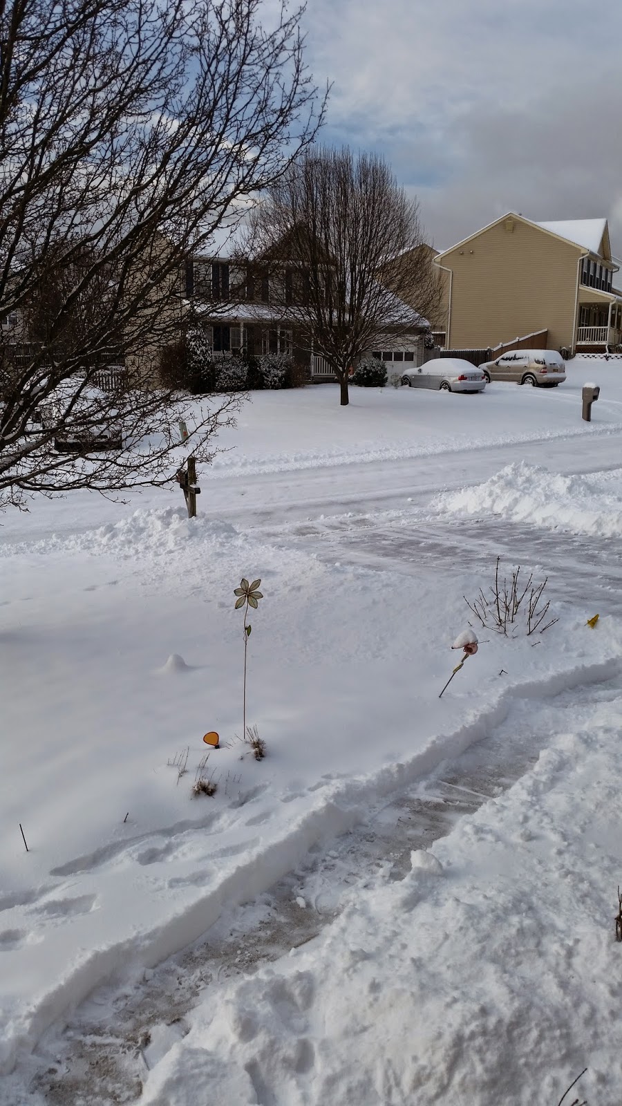 Beautiful Snow Day in Woodbridge VA - Claudia S. Nelson