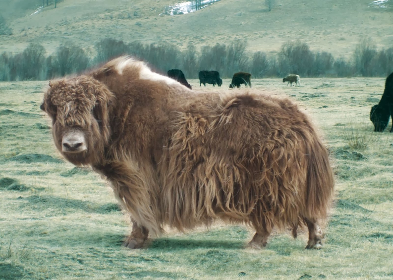 vintagerockchick: Do They Know It's Christmas?