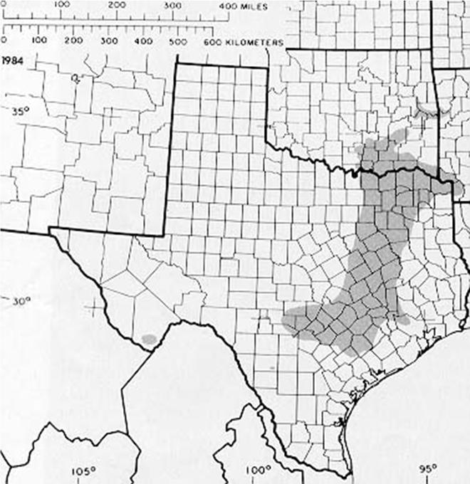 Ohio Birds and Biodiversity: Osage-orange