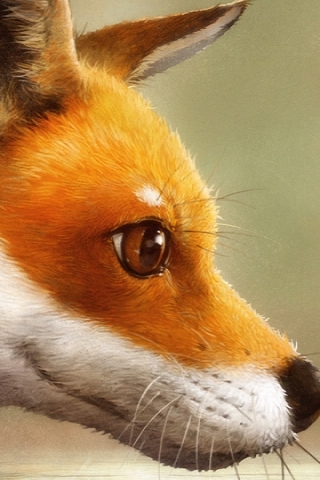 iPhoneZone: Wild Animal Fox Wallpapers For iPhone