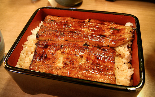 Japońskie pyszności: Unadon (鰻丼)