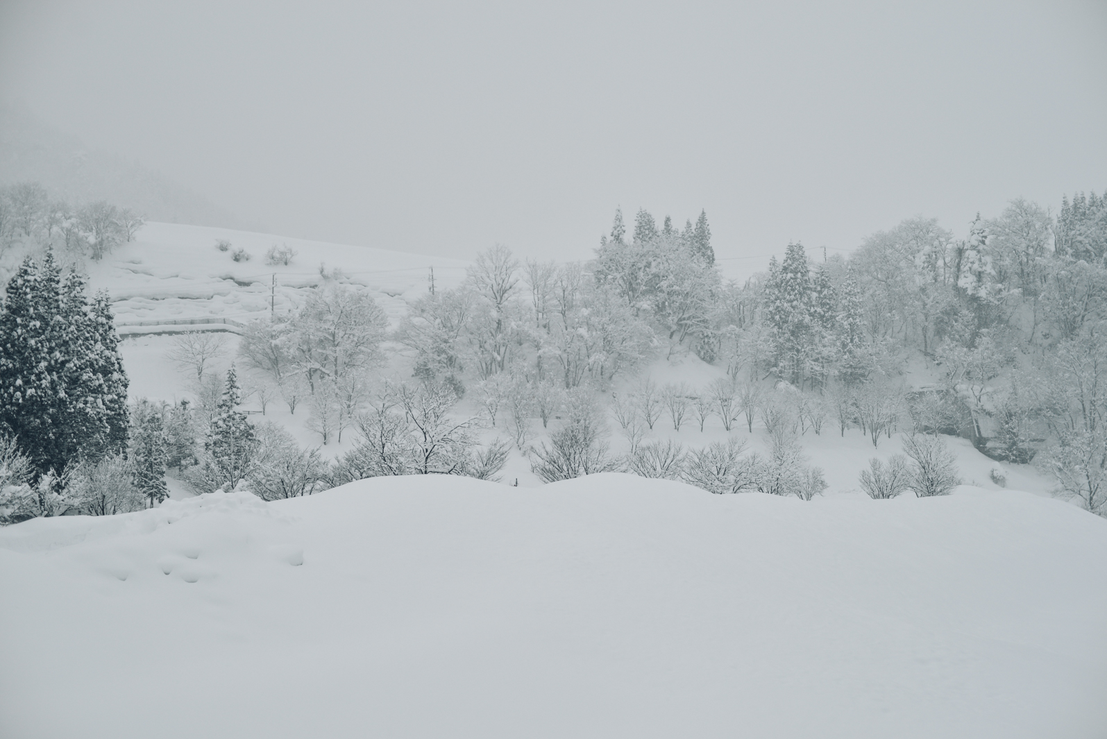 GIFU & SHIRAKAWAGO TRAVEL GUIDE IN WINTER! - eatandtreats - Indonesian ...