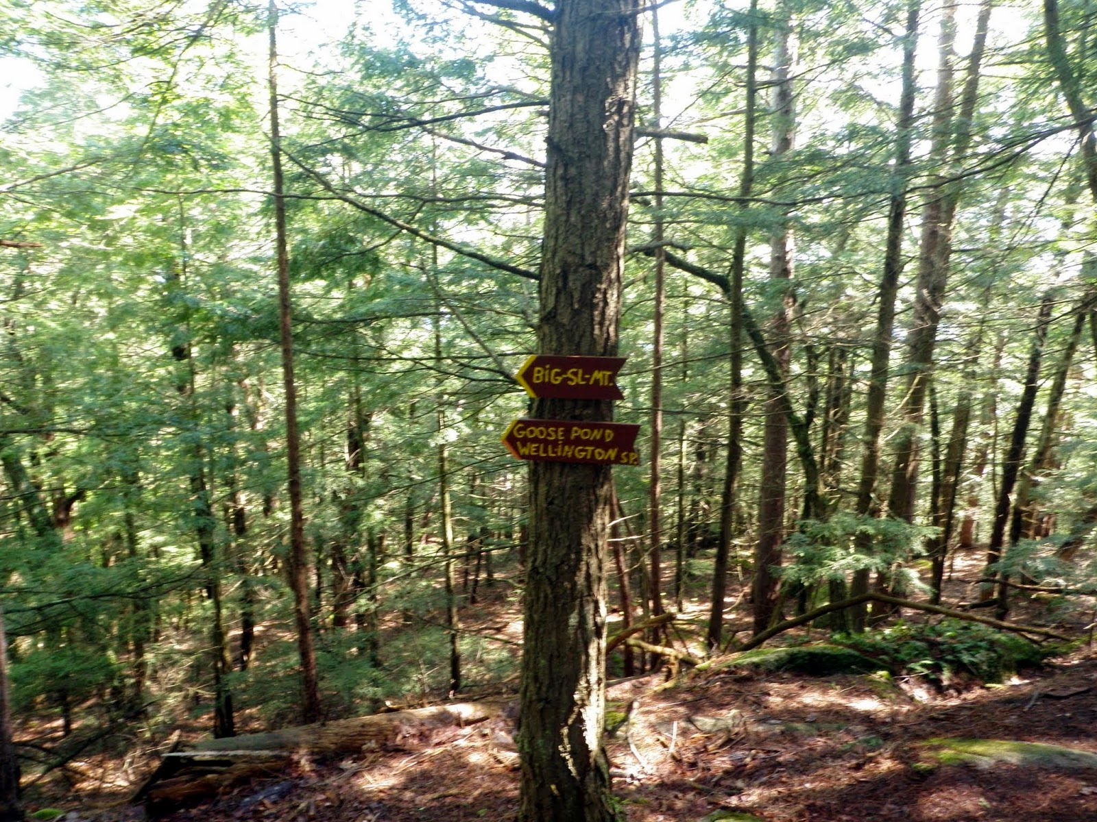 An Idiots Guide to Peakpagging and Hiking in New England: Little ...