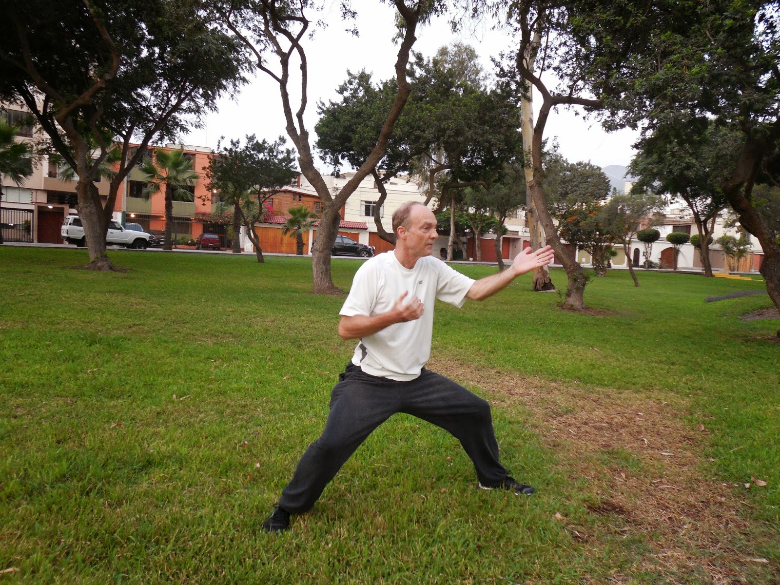 Robert Mix's Blog: A Pretty Good Day In Lima